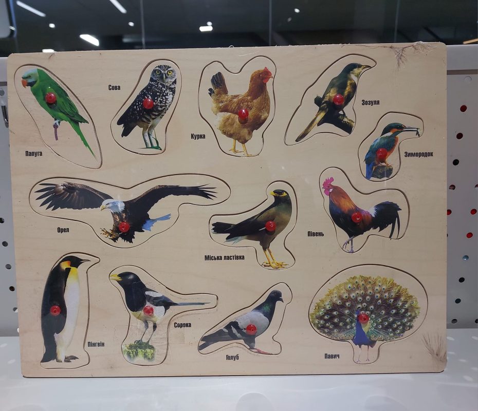 Wooden Birds Puzzle Set | Garner Stationery